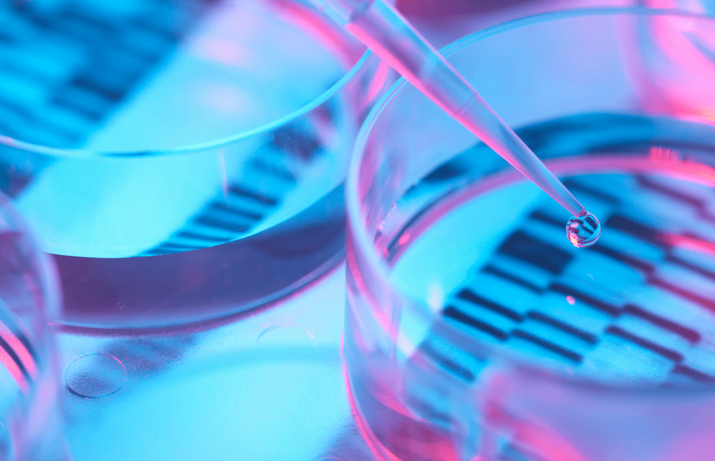 Microbiome séminal et fragmentation de l’ADN - AMUR